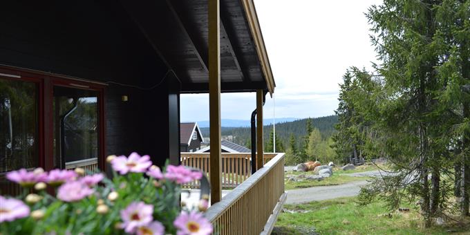 Nordseter Fjellpark, Hytteutleie